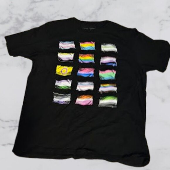 Hot Topic | Tops | Hot Topic Pride Flags Graphic Tshirt Good Used ...